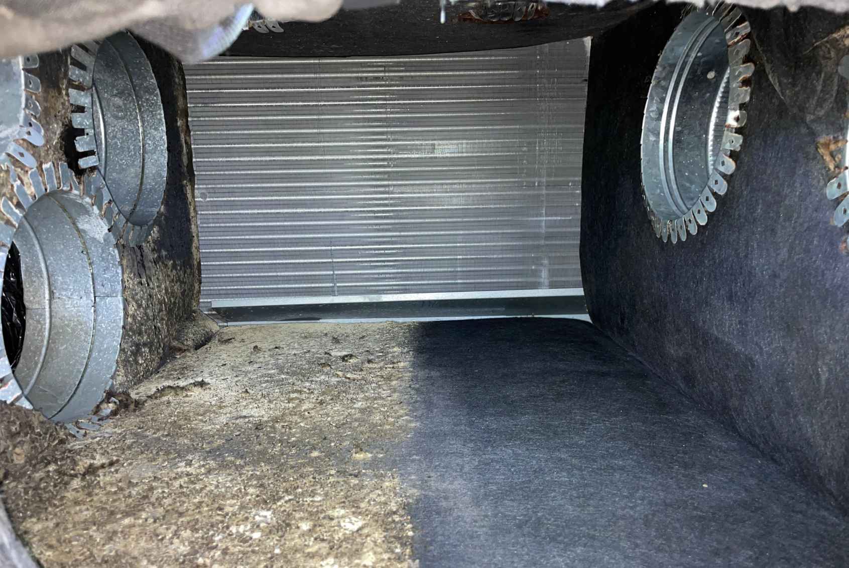 The Hidden Costs of Ignoring Mold in Your AC Ducts